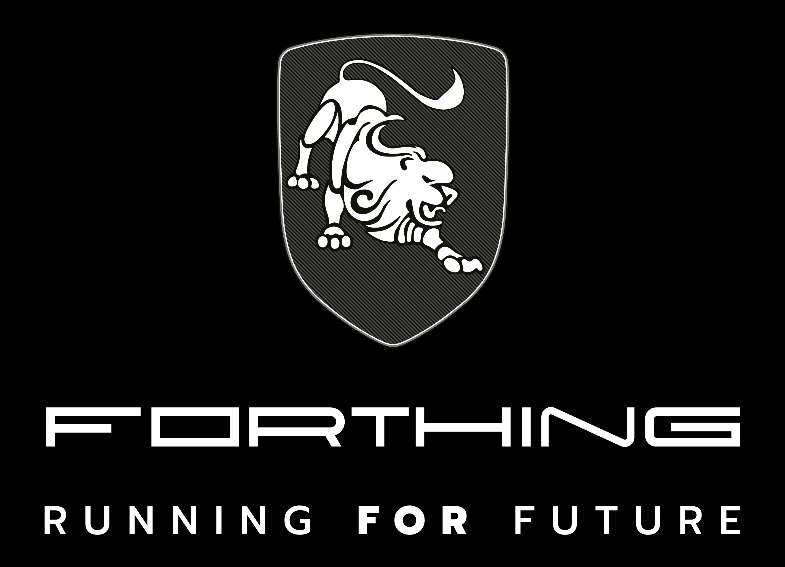 GRUPO AUTO-INDUSTRIAL anuncia parceria com a DONGFENG LIUZHOU MOTOR ...